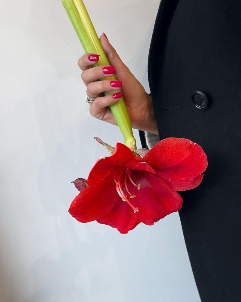 40 Vivid Red Nails Ideas: A Spectrum of Style